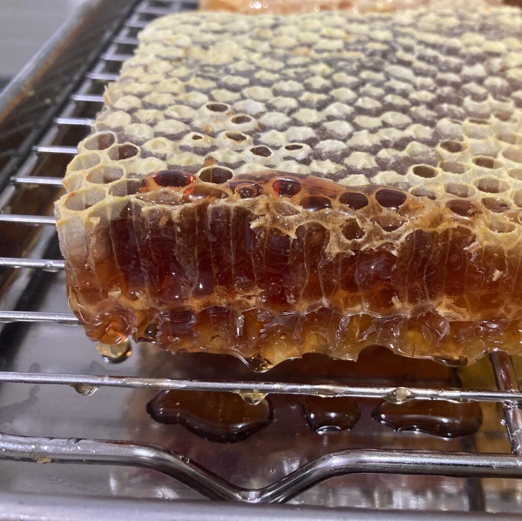 Raw comb honey. Natural honeycomb filled with pure honey. 6-8oz | Gils ...